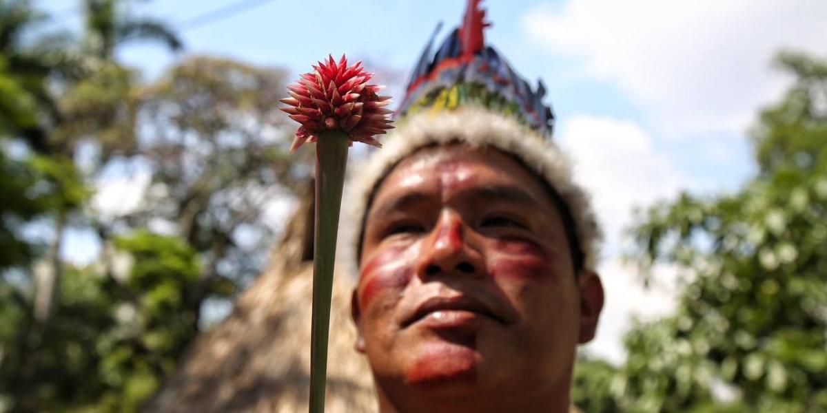 La flor de Inírida, un regalo que se inmortalizó ante el mundo en la COP16