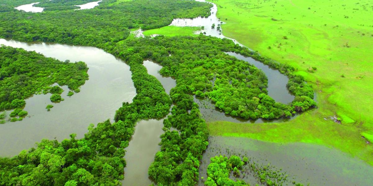 El río Bita es el nuevo humedal Ramsar de Colombia