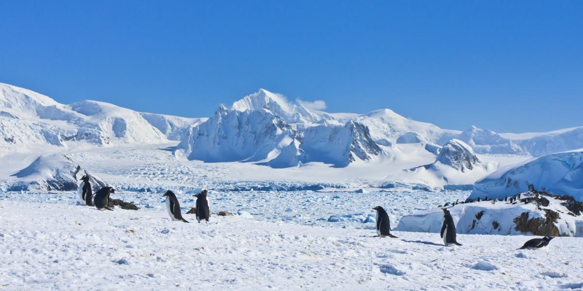desanilización en la Antártida por deshielo glaciar y cambio climático