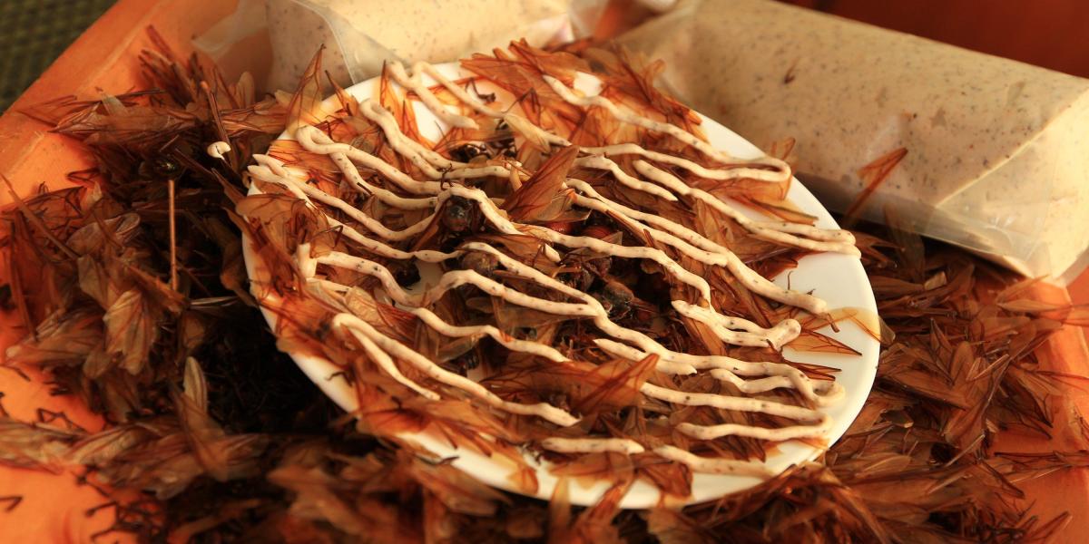 Los platos típicos colombianos más raros