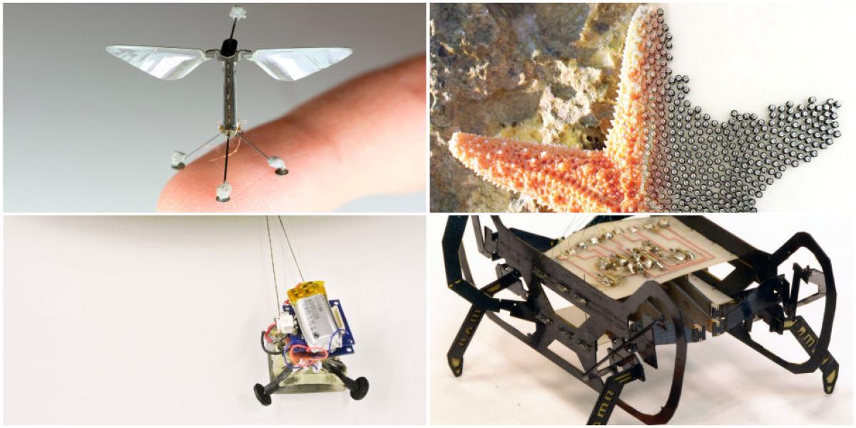 Robots miniatura que imitan funciones de los insectos