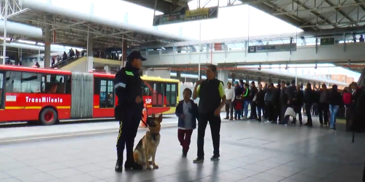 Perros en las estaciones de TransMilenio