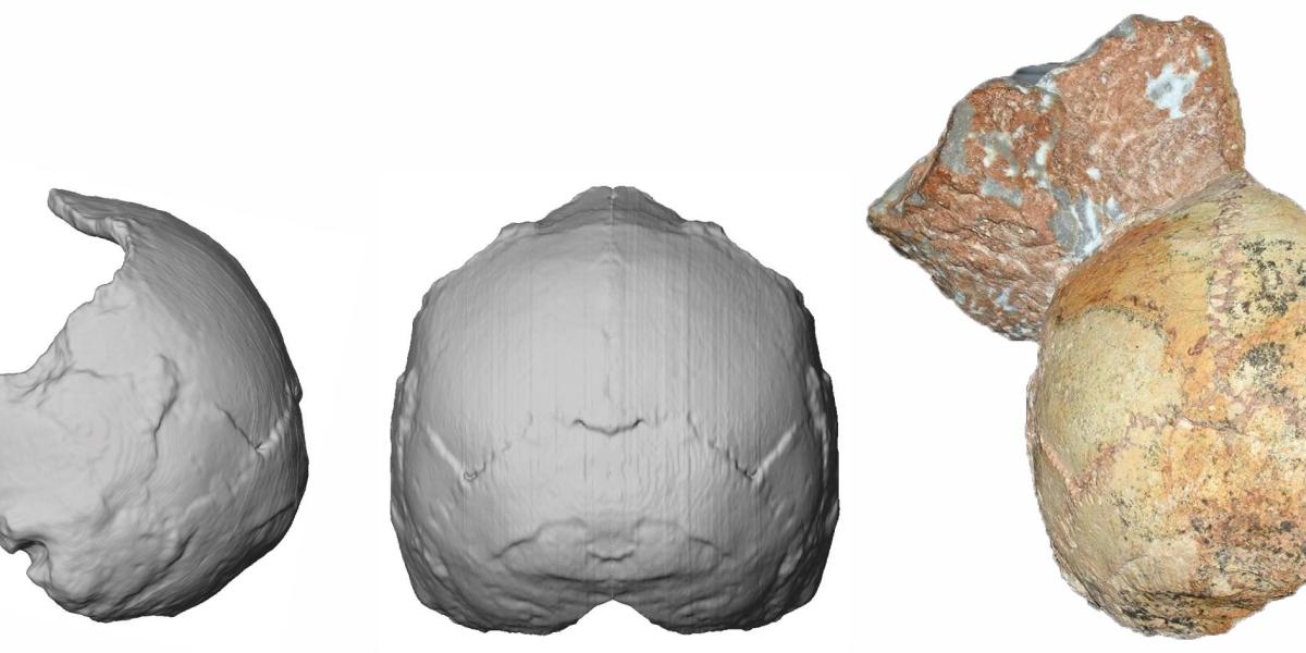 Hallan el Homo sapiens no africano más antiguo