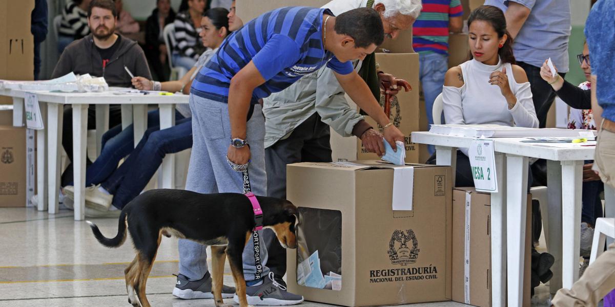 ¿qué Son Los Comités Promotores Del Voto En Blanco
