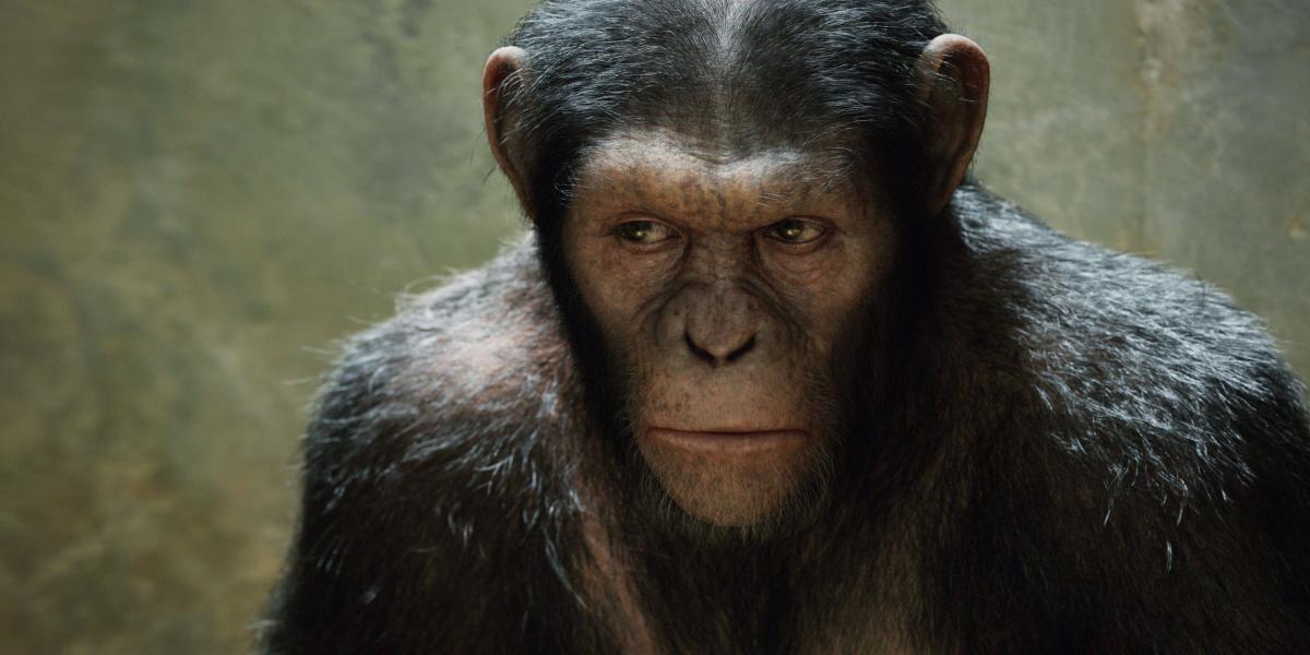 Disney trabaja en una nueva cinta del 'Planeta de los simios'