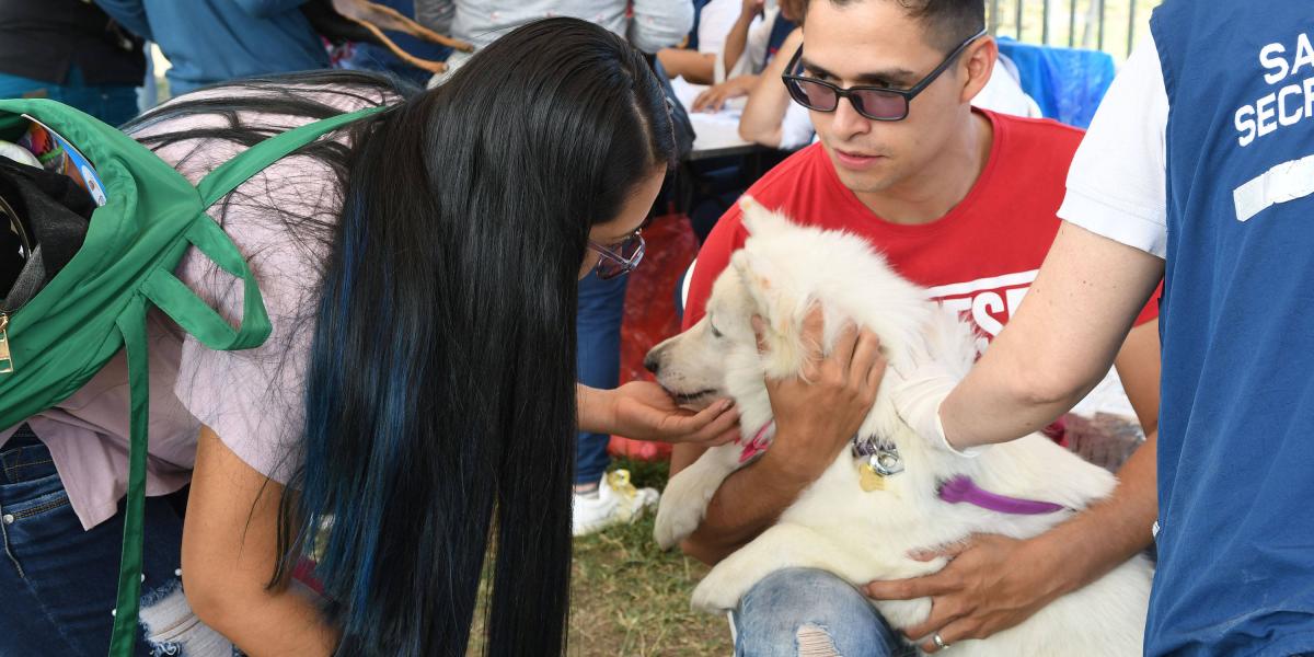 Familia multiespecie: ¿por qué este vínculo con mascotas ahora tiene ...