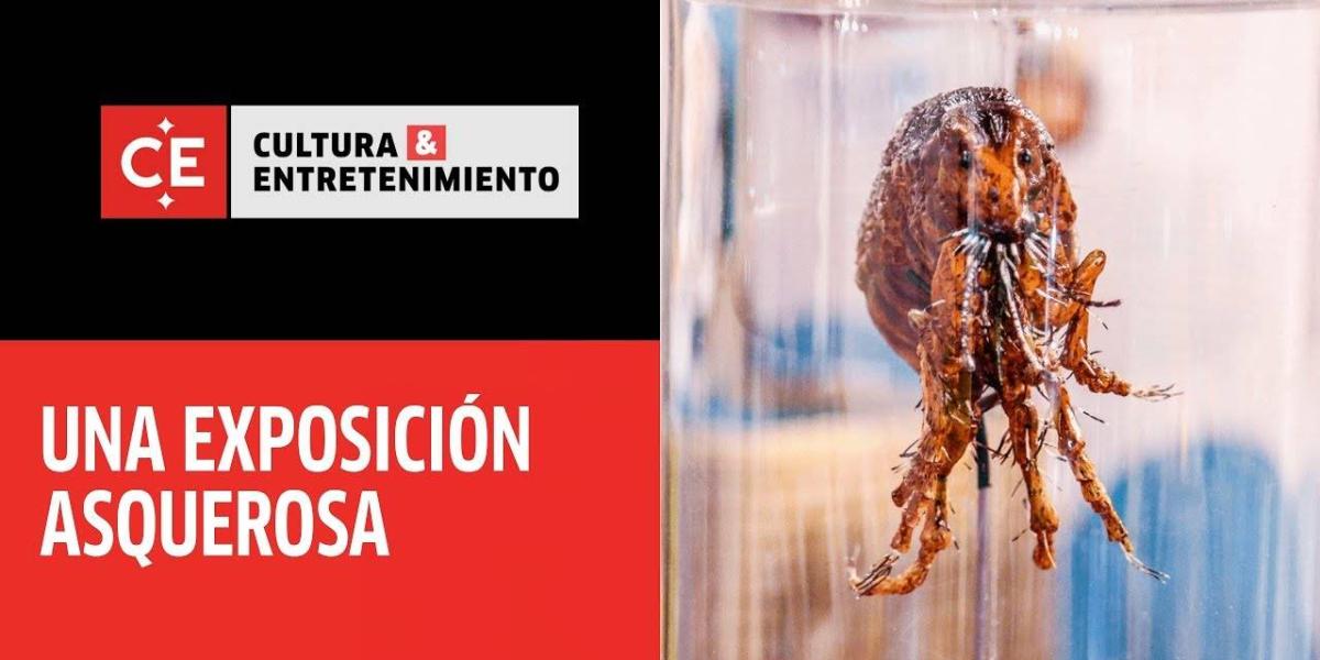 'Guacala', exposición en Maloka