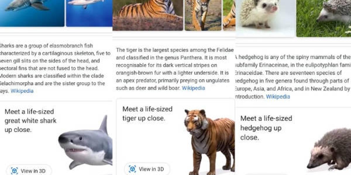 Paso a paso para ver resultados de animales 3D en Google