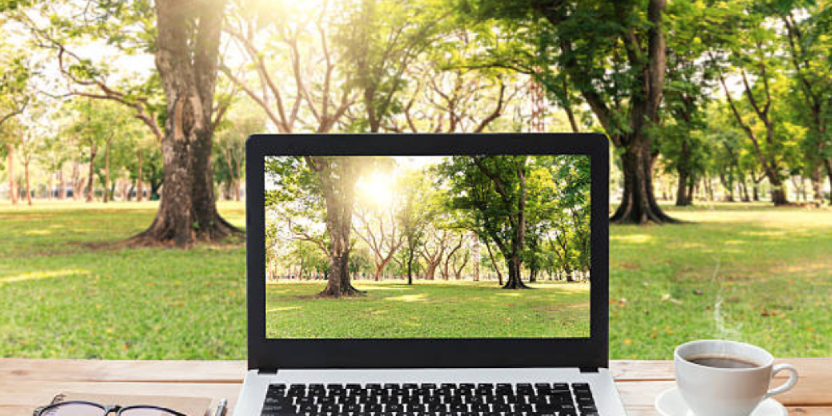 Visite estas maravillas naturales con su computador desde su casa