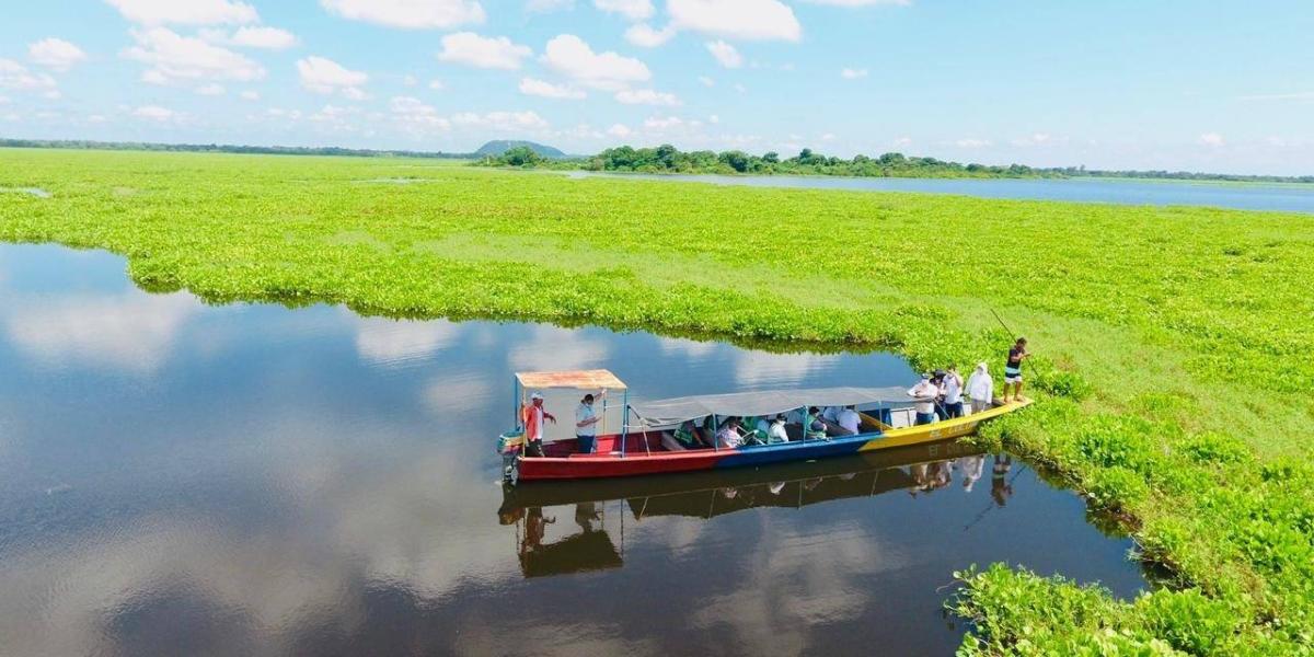 Pescadores del Cesar retirarán la tarulla de la Ciénaga de Zapatosa