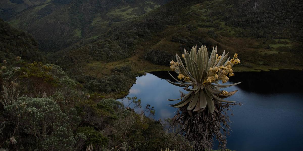 Tolima imperdible, estos son sus destinos más populares