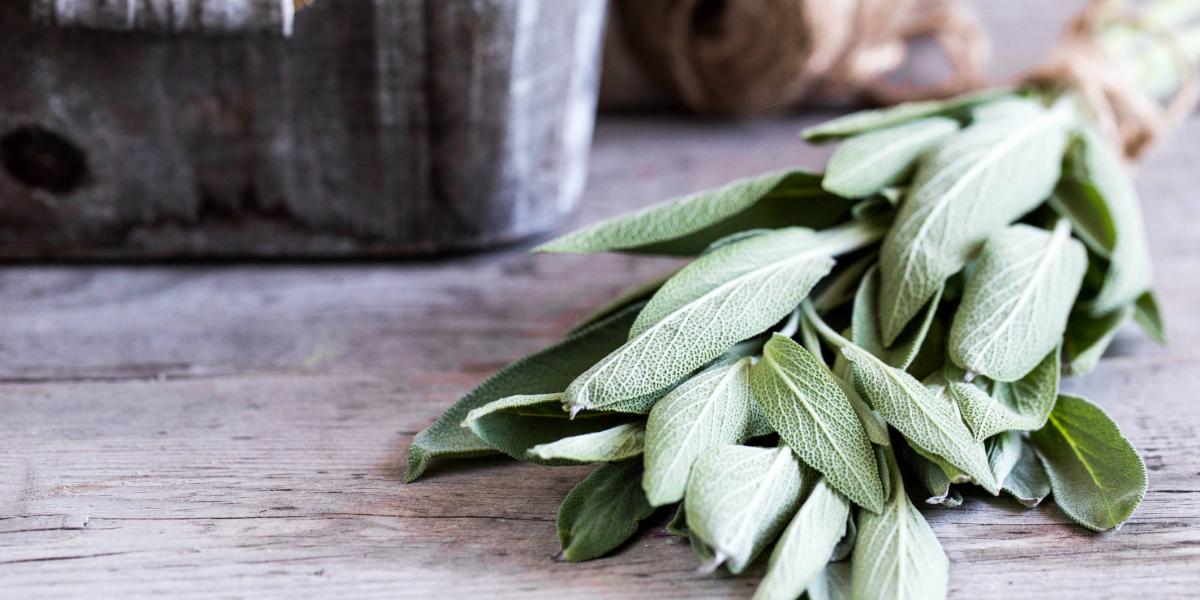 Los 6 beneficios del té de salvia para la salud, según expertos médicos