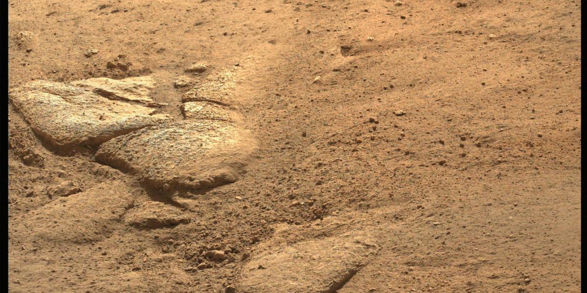 ¿Vida en marte? La Nasa cree haber hallado indicios de actividad microbiana en una roca del ...