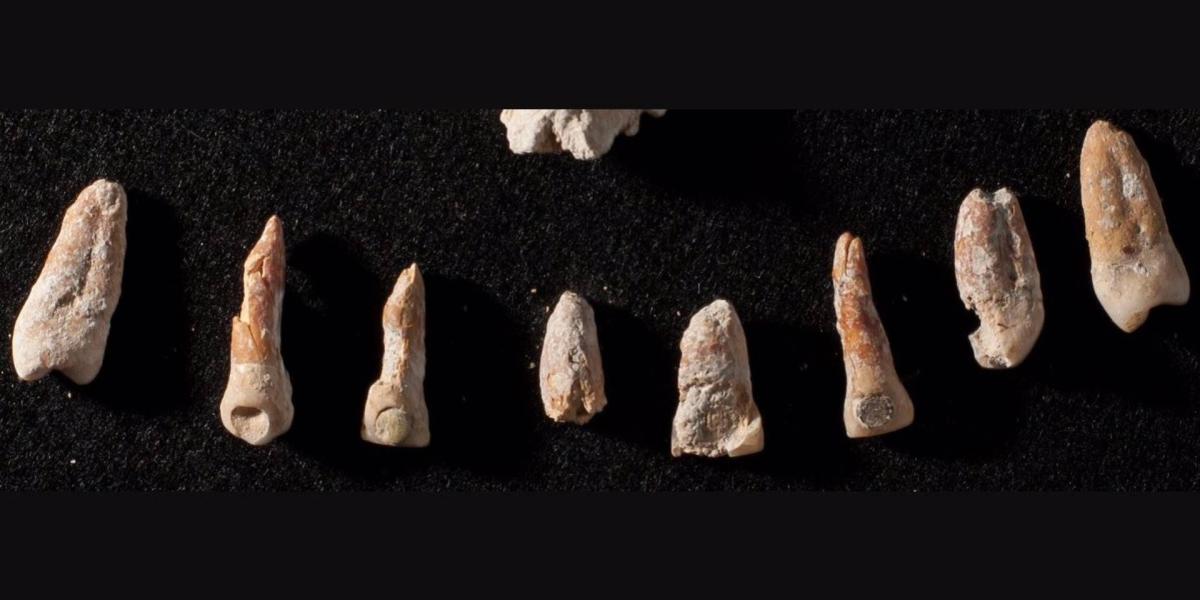 68 lenguas indígenas sobreviven en México