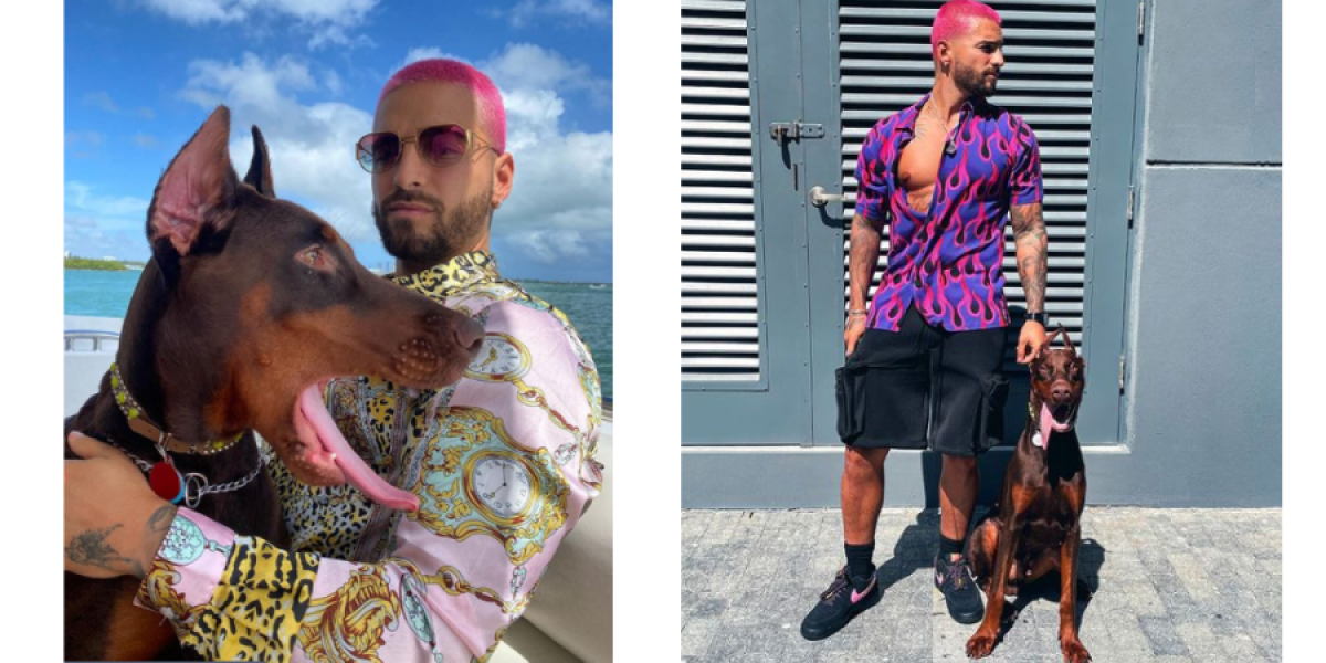 ¿Cuánto vale la nueva mascota de Maluma?