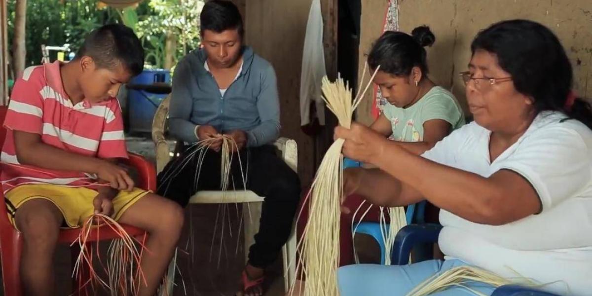 Indígenas De Sucre Y Córdoba Buscan Dejar En Alto Legado De La Caña Flecha