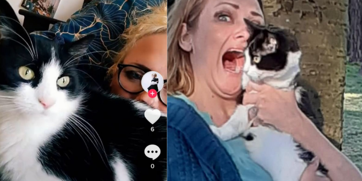 Deborah Hogde: mujer que se casó con su gata para evitar restricciones