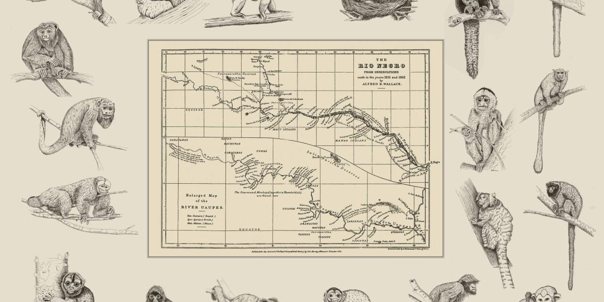 Quién era Wallace, el investigador que fue clave en las teorías de Darwin