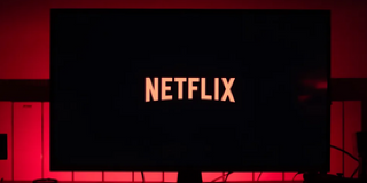 ¿Cuál fue la primera serie de la historia de Netflix?