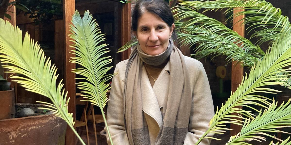 Ana Mosseri expone sus pinturas en Bogotá