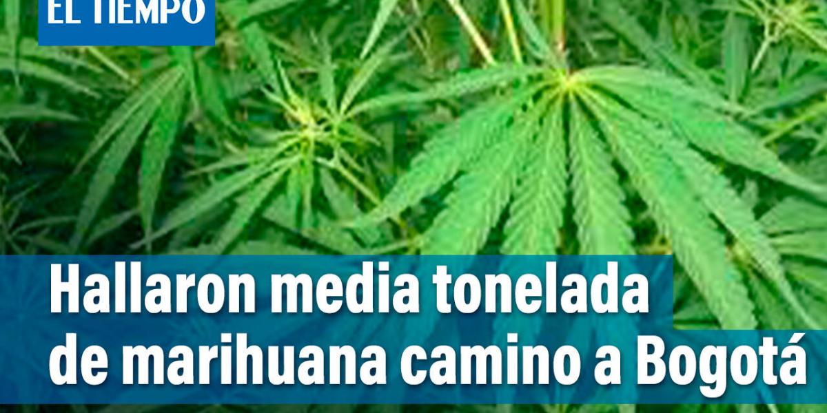 Media tonelada de marihuana hallada camino a Bogotá