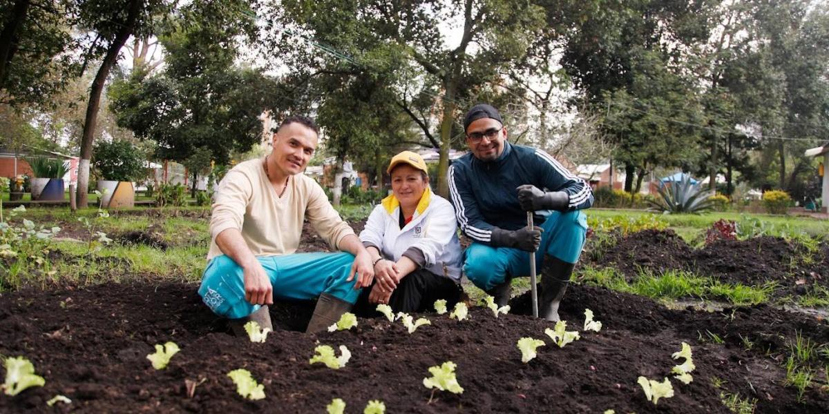 Los centros de vida que han salvado a decenas de personas