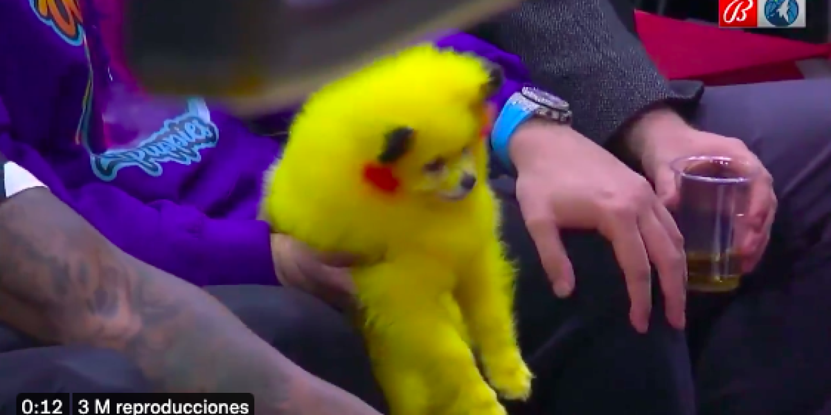 Perro Pikachú se hace viral en la NBA y multan a su dueño con 200 dólares