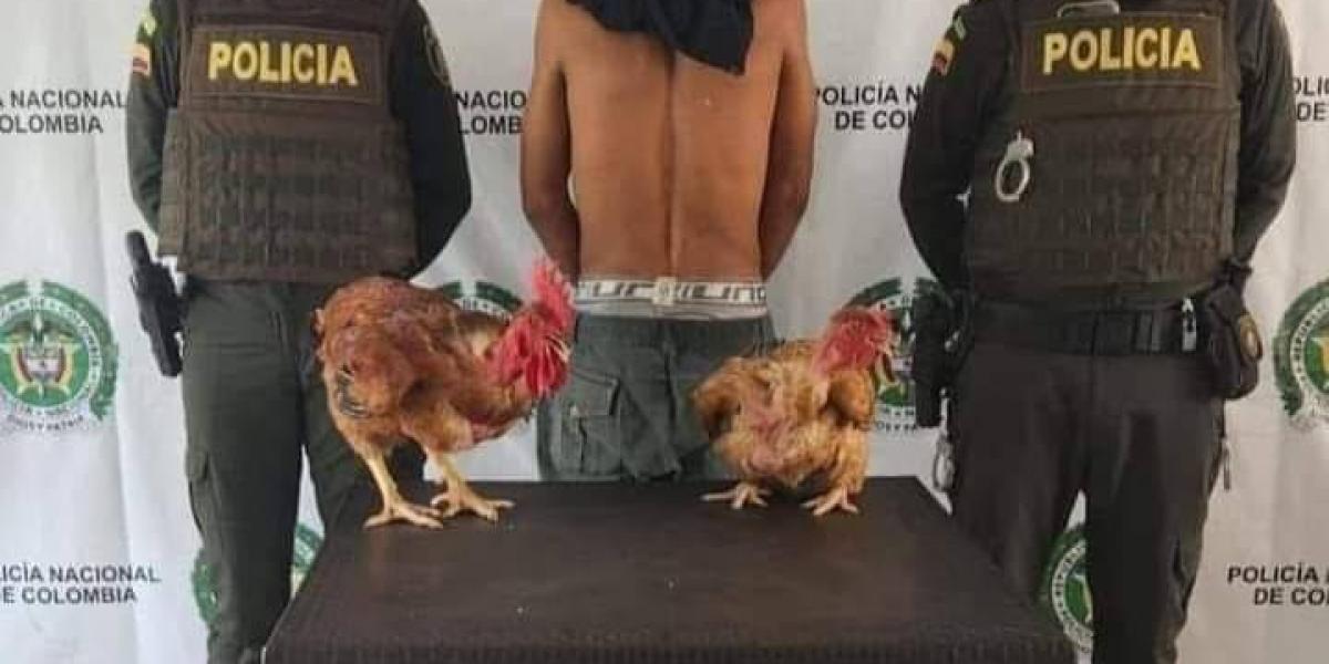 Críticas a Policía por presentar a hombre con dos gallinas que robó