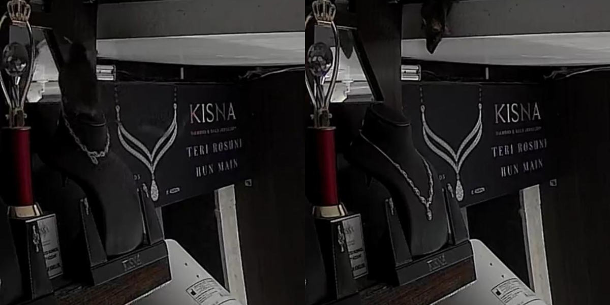 Rata roba un collar de diamantes en joyería de India | Video