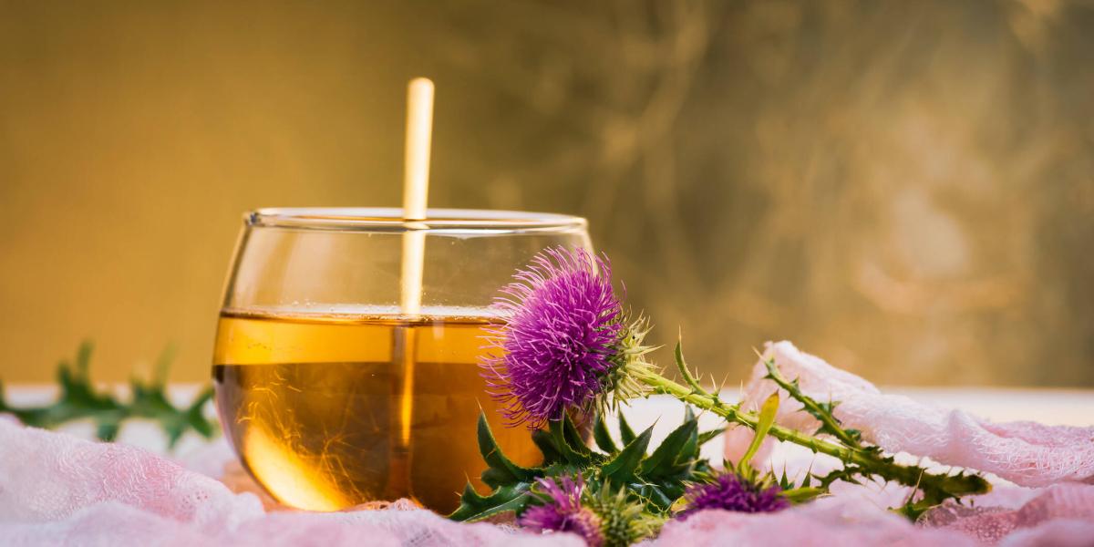 ¿Qué es el cardo mariano, para qué sirve y cuáles son sus beneficios?