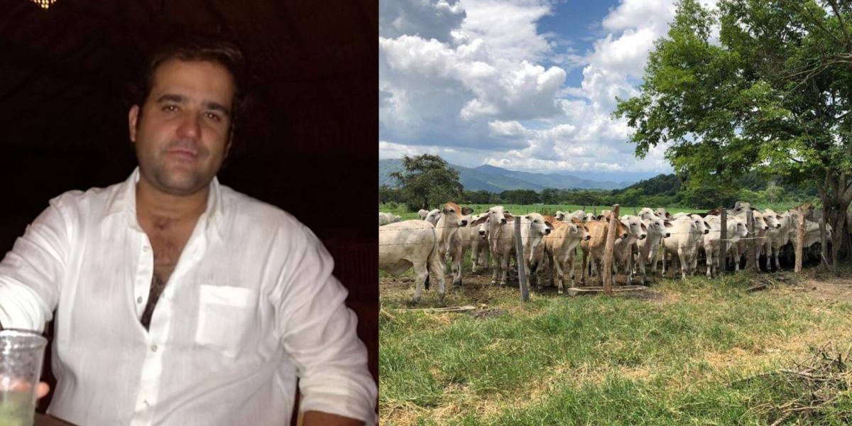 Víctimas de pirámide ganadera de Felipe Rocha denuncian desorden en la ...