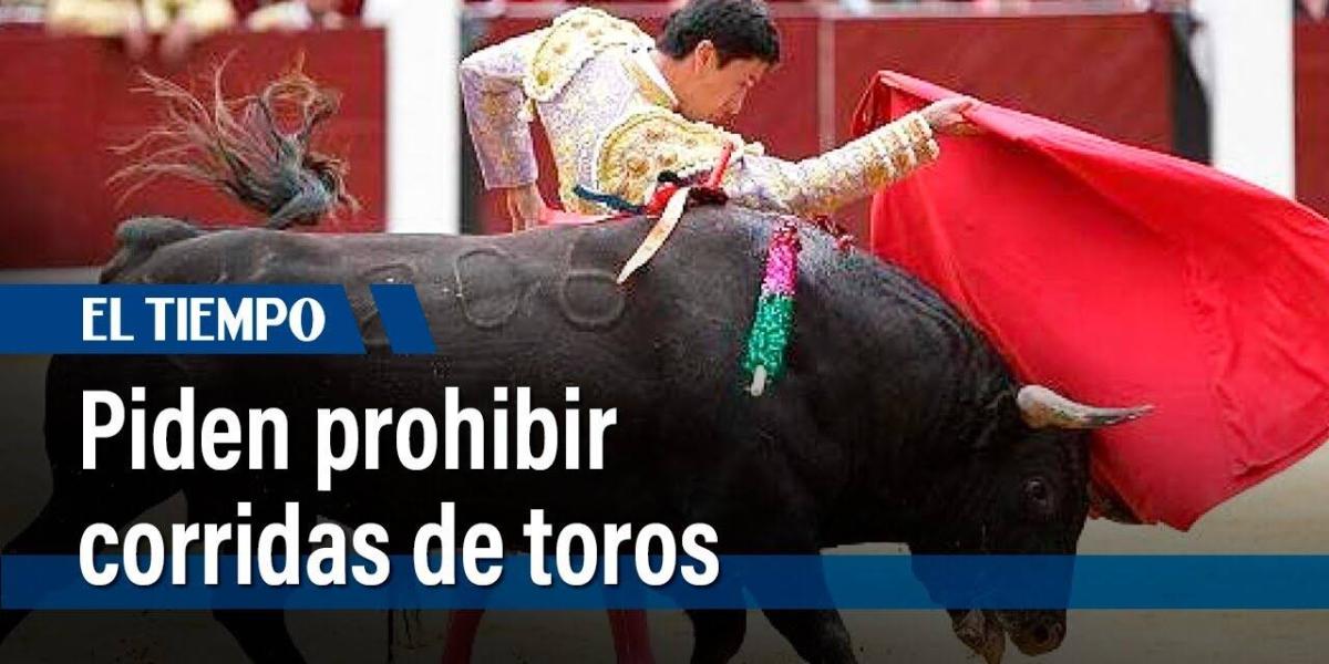 Piden prohibir corridas de toros