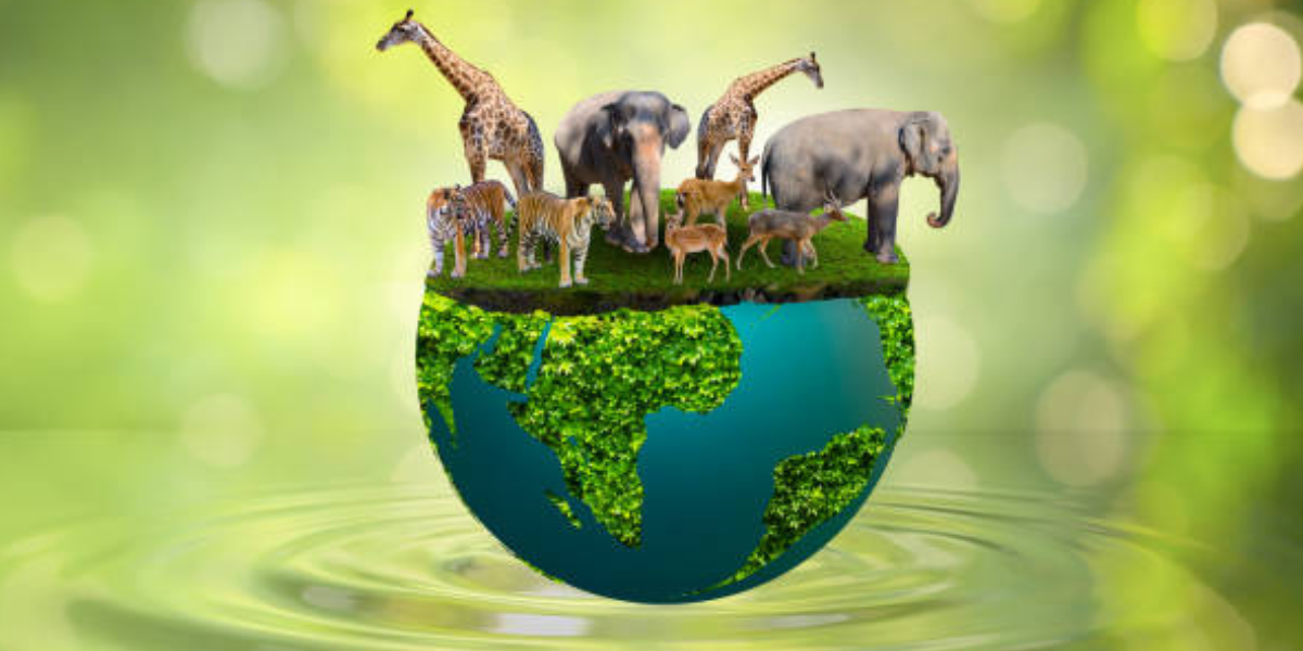 Día de la Tierra: ¿Cómo podemos proteger la biodiversidad?