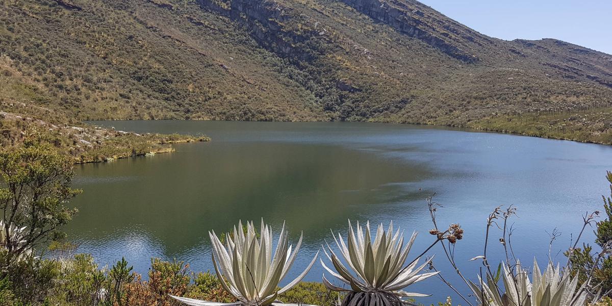 Chingaza: la belleza paisajística y biodiversidad del parque nacional