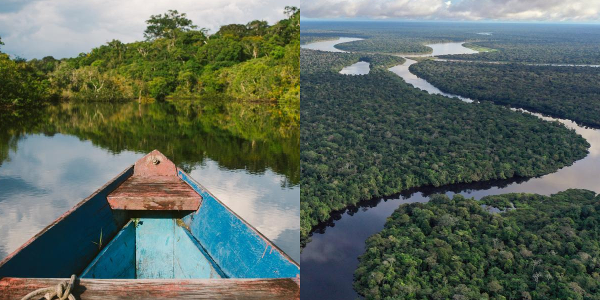 Imágenes De La Selva Amazónica El Proyecto De Conservación De La