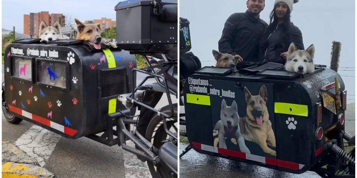 Perros moteros se toman la vías y se vuelven virales