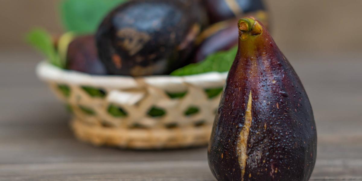 ¿Cuál es la diferencia entre la breva y el higo?