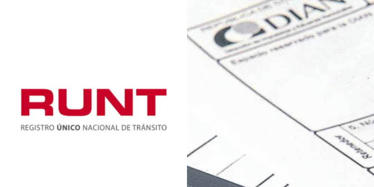 ¿Cuál es la diferencia entre el RUT y el RUNT?