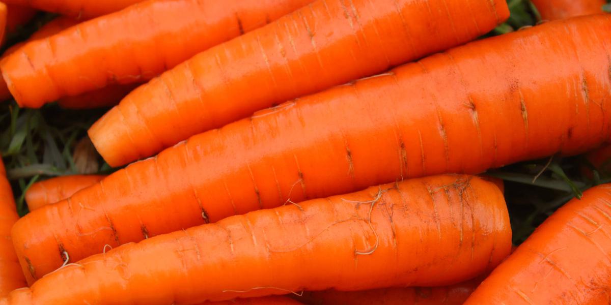 ¿Qué es el falcarinol que está en las zanahorias y sirve contra el cáncer?