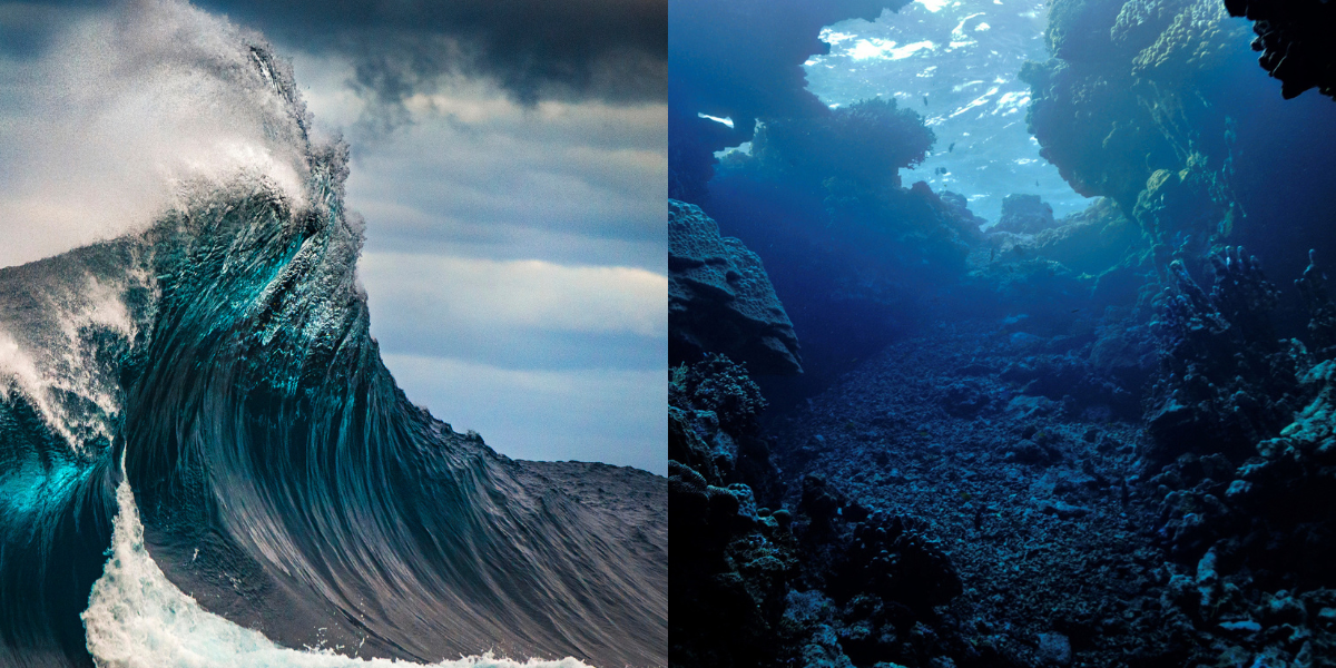 Océano: ¿cuáles son los 5 océanos del mundo?