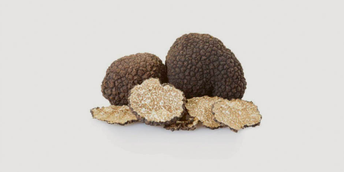 Trufas: ¿Dónde se encuentran las trufas?