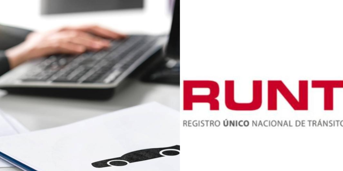 RUNT 2.0: así funcionará la nueva plataforma de Tránsito desde este 23 ...