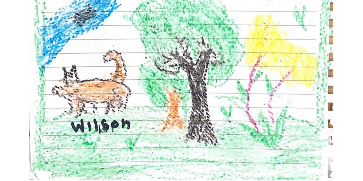 El dibujo de Lesly, la niña rescatada en la selva, del perrito Wilson