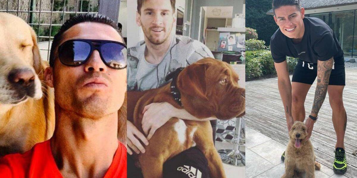 Conozca las mascotas de Cristiano Ronaldo y otros jugadores de fútbol