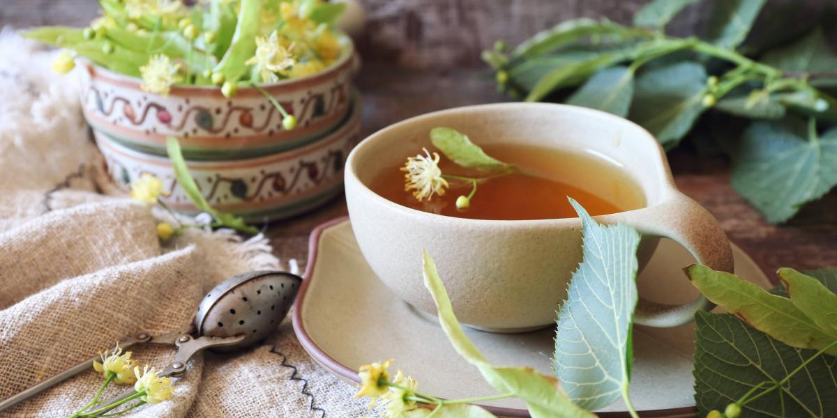 Té de tilo: ¿cuáles son las diferentes clases que existen de esta planta?