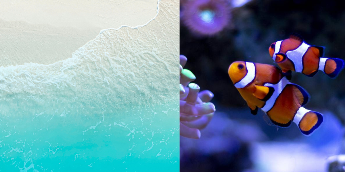 ¿Dónde se puede bucear en Colombia?