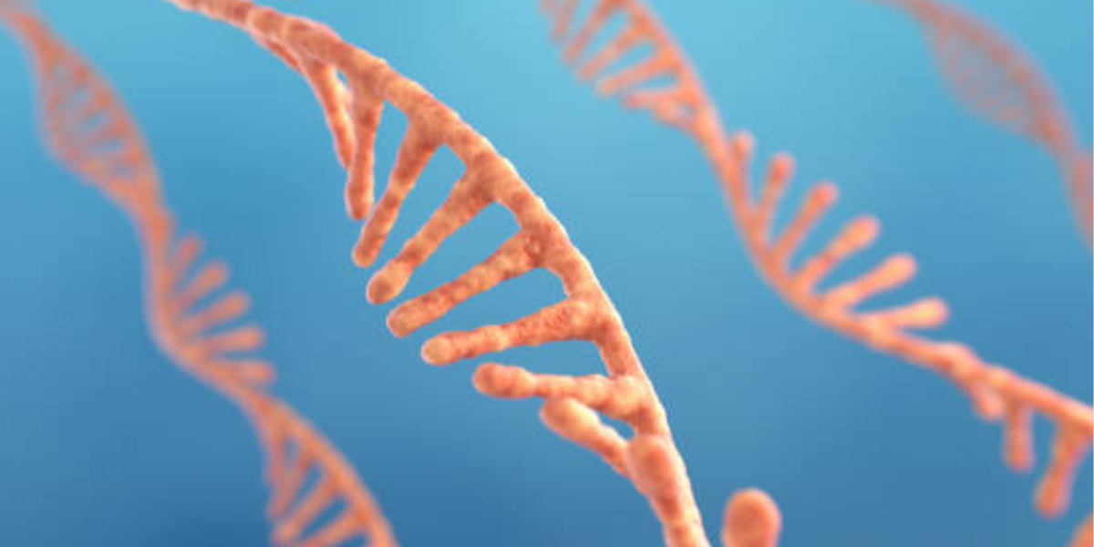 Día Mundial del ARN: ¿por qué se celebra el 1 de agosto y para qué sirve?