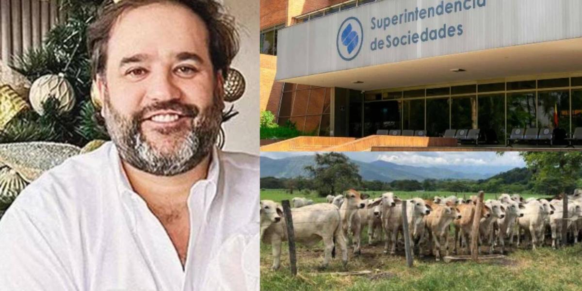 Felipe Rocha: ¿dónde están los $17.000 millones que captó en 11 años?