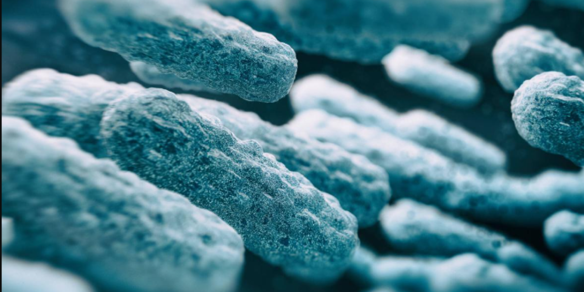 ¿Qué son las bacterias carnívoras y cómo afectan al cuerpo humano?