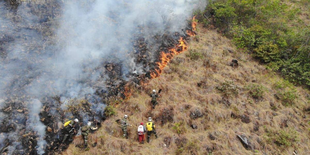 Colombia lleva 143 incendios forestales en 2024, afectando a más de 1. ...